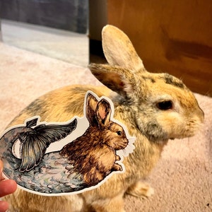 Octopus Art Print Original Pacific Giant Octopus Pacific Northwest ...