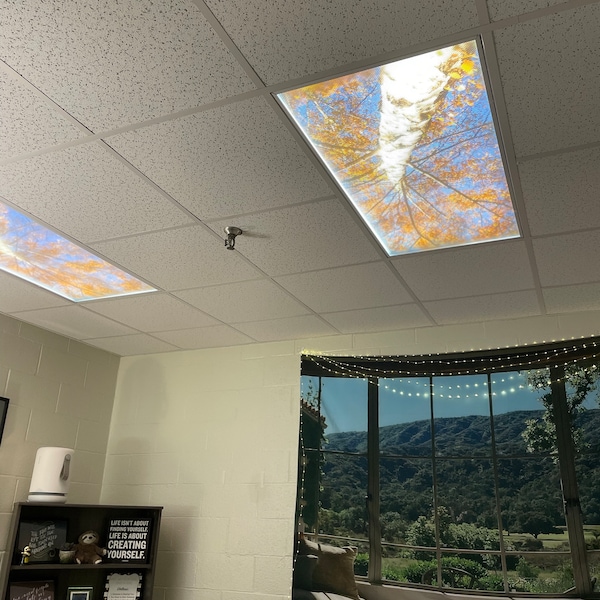 Octo Lights Classroom Fluorescent Light Covers Magnetic Stained Glass ...