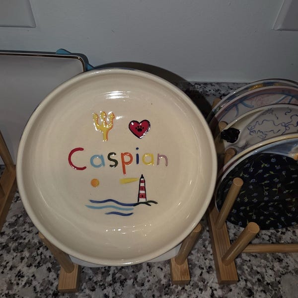 Custom Cute and Cheerful Pet Plate, 2 to 3 Designs, Handmade Pottery ...