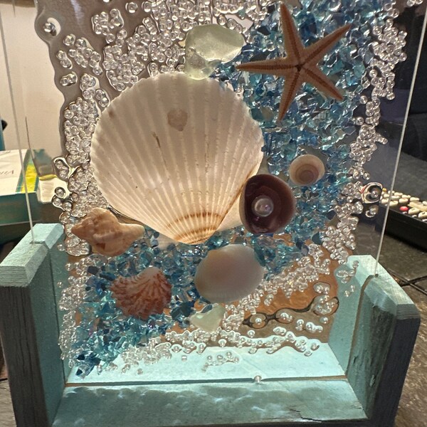 Hatching Sea Turtle Displays - Etsy