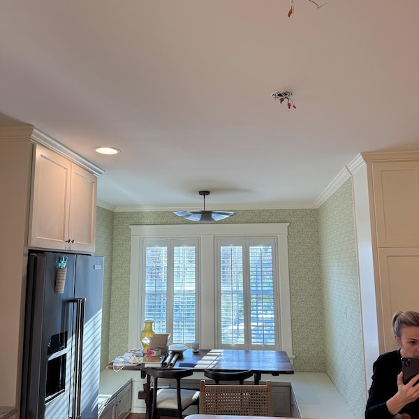 1 Light Globe Spikes Elegant Ceiling Light | Flushmount Light ! Pendant ...