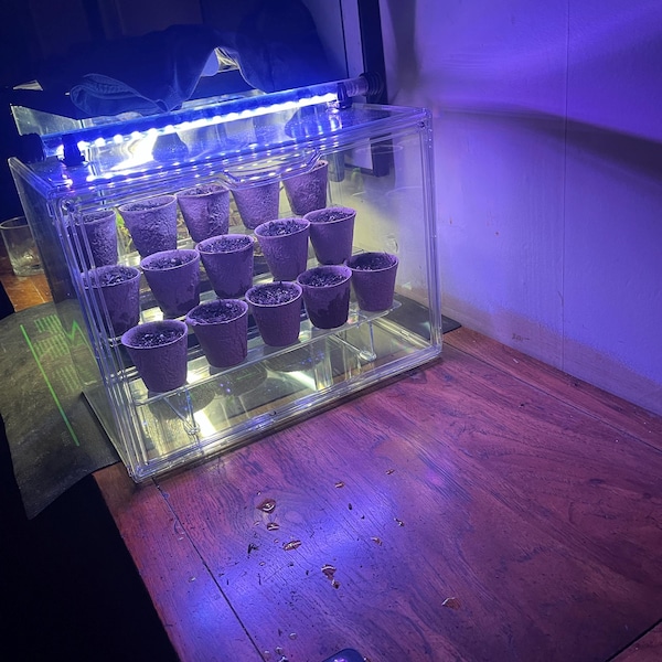 Mini Greenhouse L | Acrylic Clear Plant Propogation Box | With ...