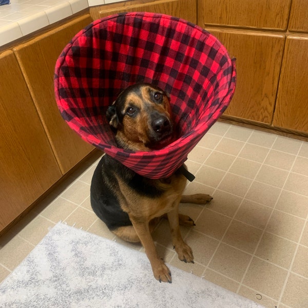 Fabric Dog Cone, Taupe & Black Plaid, Comfortable Soft Medical Cone for ...