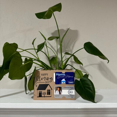 SET of Wishing You a Lotto Luck Mailer W/ Envelope St. Patrick's Day ...