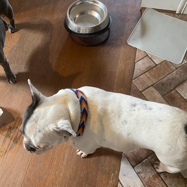 UGLY Bells for Pet Collar Chipped Jingle Bell for Cat Collar Character ...