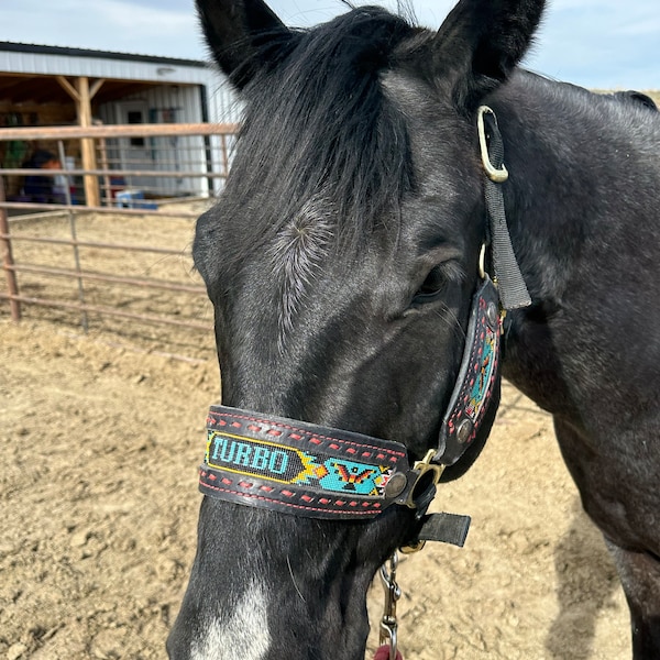 Custom Horse Halter - Etsy