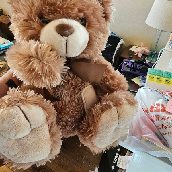 Ostomy Bear, Ostomy, Teddy Bear, Pediatric, Ileostomy, Surgery ...