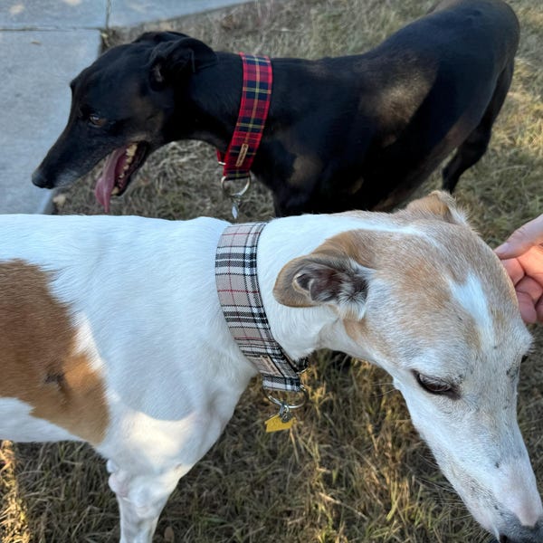 Dog Snoods, Handmade Knitted UK, Neck Warmer, Pet Accessory, Dog Gift ...