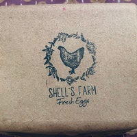 Egg Stamp Cute Little Chicken Stamp Mini Egg Stamp Chicken Egg Stamp ...