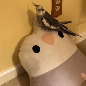 Birb Seat Pillow Case stuffing is Not Included You Need to - Etsy