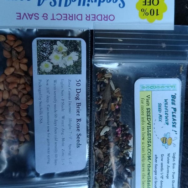 100 RED RASPBERRY Rubus Idaeus Fruit Bush Vine Seeds - Etsy