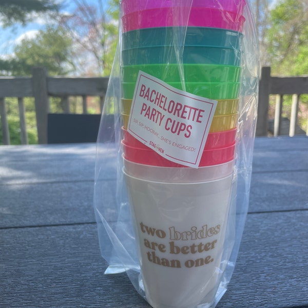 LGBTQ Bachelorette Party Cups | 12 Pack, 16 Oz | Reusable Frost Flex ...