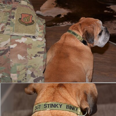 US Army US Airforce Camouflage Dog Collar Military Dog Collar ...