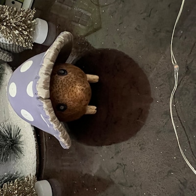 Toadstool Folk Hedgies - Etsy