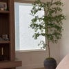 Faux Black Olive Tree, Shady Lady Tree, Black Olive Tree, Olive Tree - Etsy
