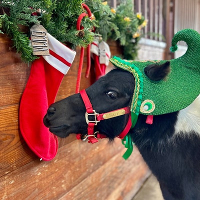 Prancing Pope Religious Costume With Pontiff Hat and Vestment for Mini ...