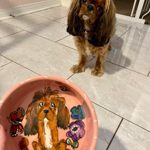 ORDER Debby Carman Official Faux Paw Productions Dog Bowl From Photo ...