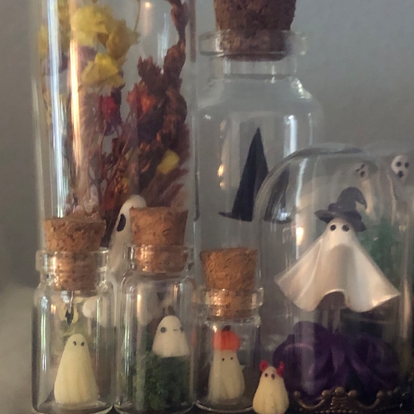 Ghost in a Bottle, Mini Ghost, Pet Ghost, Halloween Terrarium - Etsy