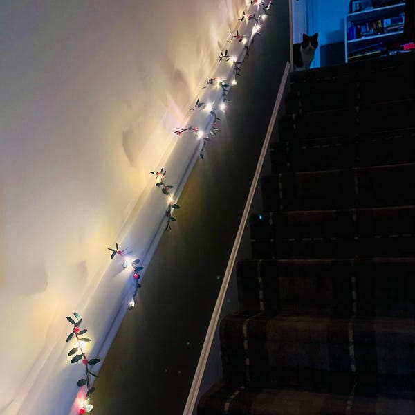 Mini Holly Fairy Lights. Christmas Decoration, LED String Lights Holly ...