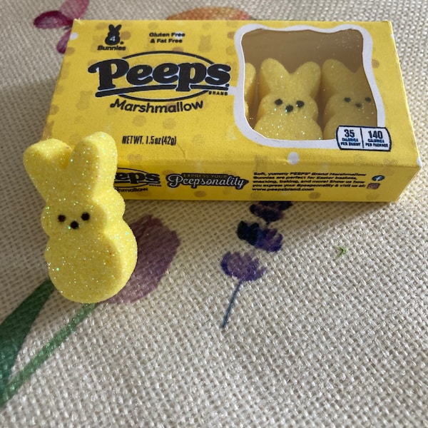 9.5 Pumpkin, Chocolate, or Apple, Faux Pies Faux Food /fake Bake ...