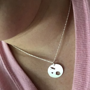 Cockroach Necklace Cockroach Jewelry Cockroach Gift | Etsy