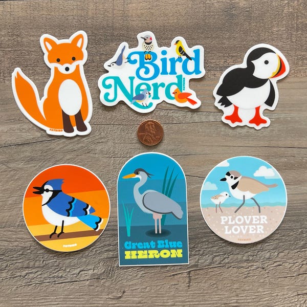 Bird Nerd Vinyl Sticker - Etsy