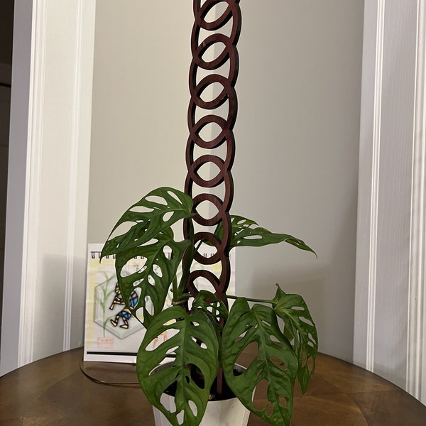 Interlocking Circle Indoor Plant Trellis - Etsy
