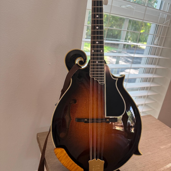 Premium Instrument Case Stand for Guitar, Violin, Mandolin, Banjo ...