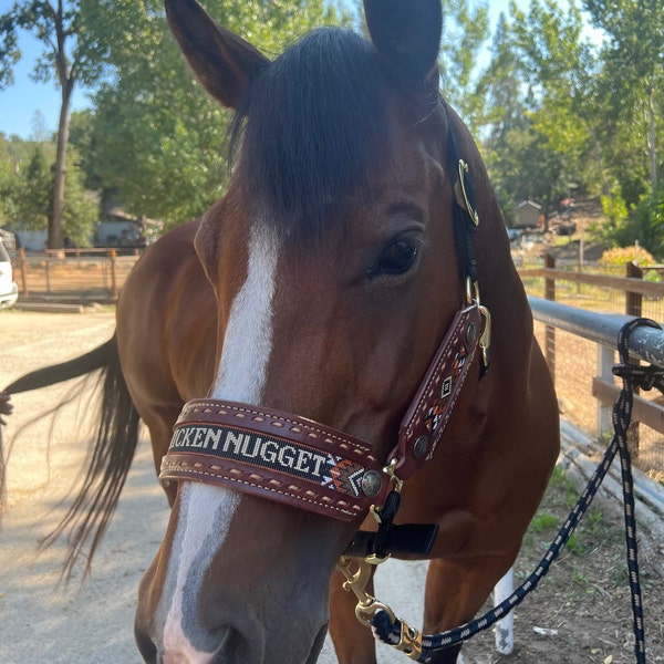 Custom Horse Halter - Etsy