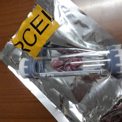 Alien Xenomorph/facehugger/chestburster Weyland Vial Capsule Movie Prop ...