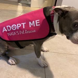 5-pack Adopt Me Dog Jackets Vests With GROUP NAME or WEBSITE - Etsy