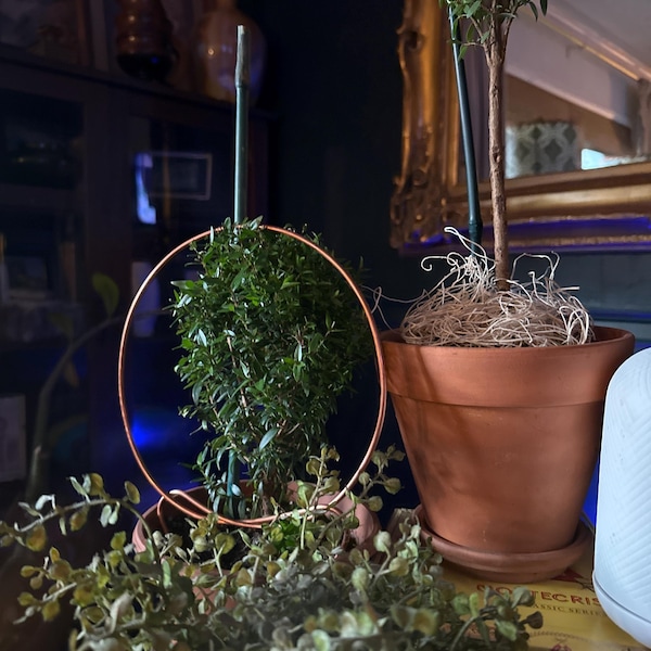 Copper Plant Trellis Houseplant Support Wire Stake - Etsy