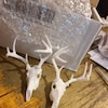 3D Printed Mini Deer Skull - Etsy
