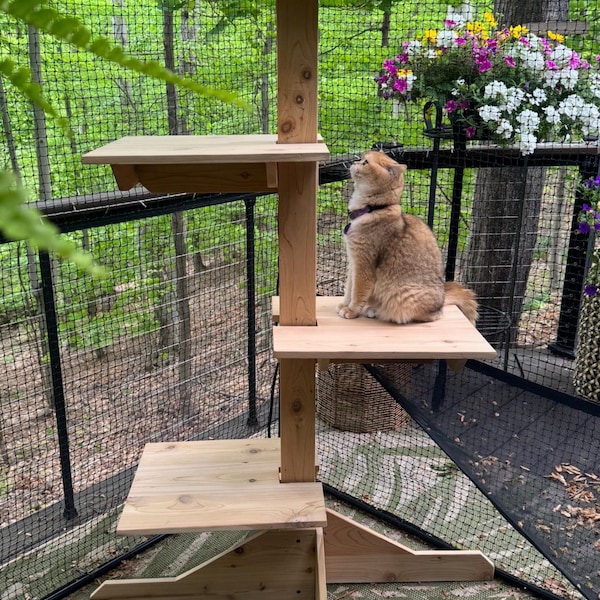4 Platform / Perch Outdoor Cat Tree Tower Made With Weather Resistant ...