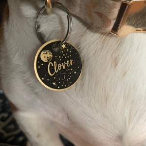 Luna Dog Tag Pet ID Tag Personalized Dog Tag Microchip Pet | Etsy