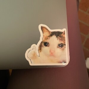 Crying Cat Sticker Pack Pack of 7 Meme Crying Cat Stickers - Etsy