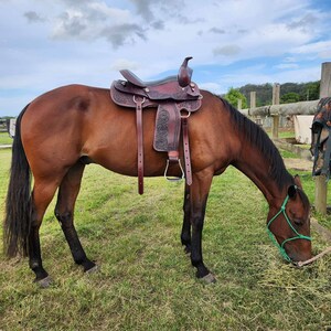 Handmade Synthetic Race Exercise Lightweight Horse Tack Saddle Racing ...