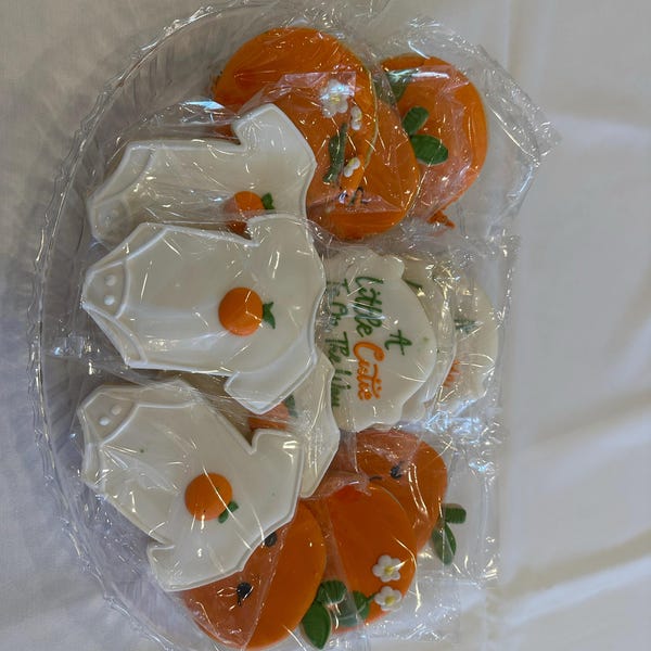 Safari Adventure Sugar Cookies - Set of 12 Wild Delights - Etsy