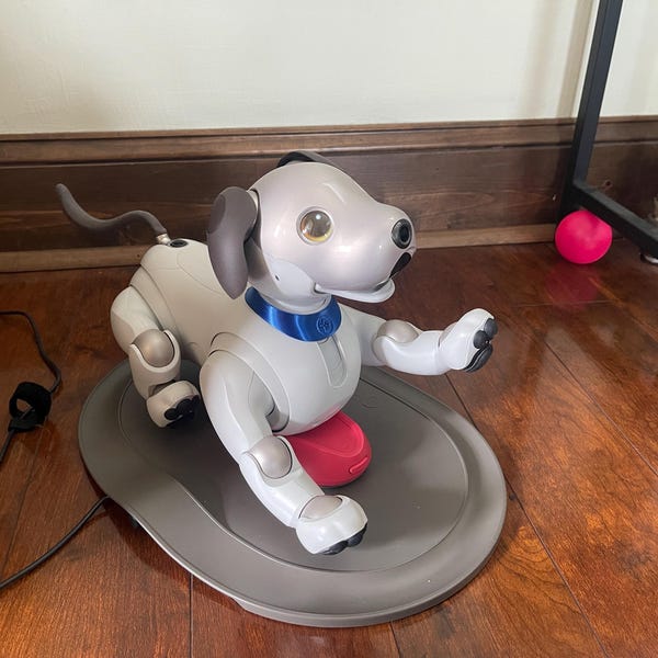 Premium Sony Aibo ERS-1000 3D Custom Printed Robotic Dog Collar - Dark ...