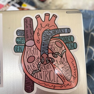 Nurse Sticker Pack, Medicine Nurse, Doctor, EMT, Dentist, Healthcare ...