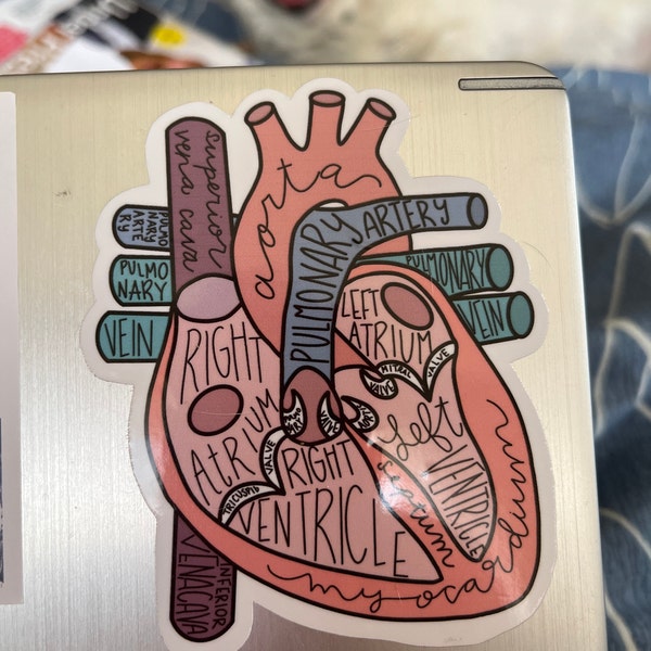 Texas Aggies Sticker, Texas A and M Stickers, Reveille Sticker, Texas A ...