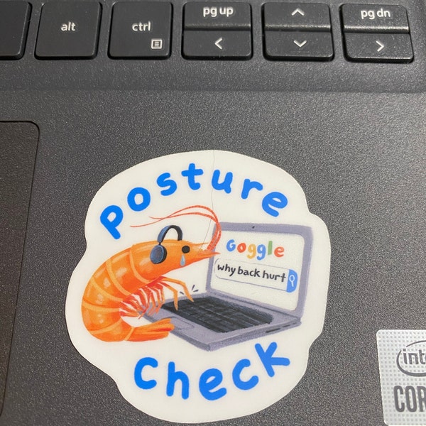 Shrimp Posture Meme Sticker | Matte Water Resistant Sticker | Cute ...