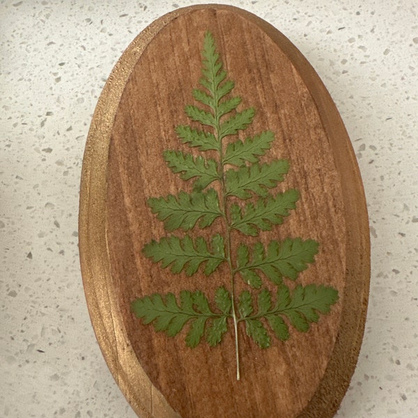 Mini Forest Fern Wall Art | Botanical Fern Wall Hanging | Pressed ...