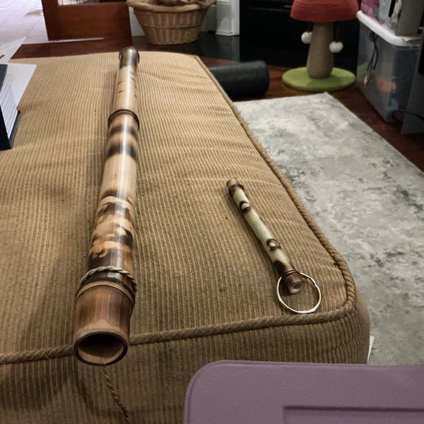 Bamboo Sheaths Natural Organic Substrate for Vivarium, Terrarium ...