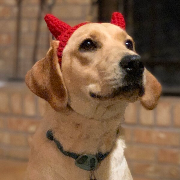 Devil Dog Costume, Devil Horns for Large Breed Dogs, Red Devil Dog Hat ...