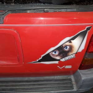 Siamese Cat Decal Funny Sticker Cat Car Sticker Siamese Cat - Etsy