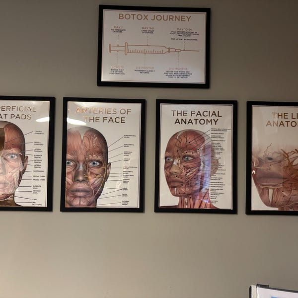 A3 Raised Foil Facial Anatomy A3 Poster FAT PADS - Etsy