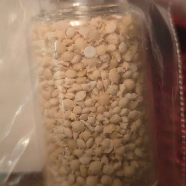 RARE Okinawa Star Sand Jar, Star Shaped Sand, Japan Beach Sand, Sun ...