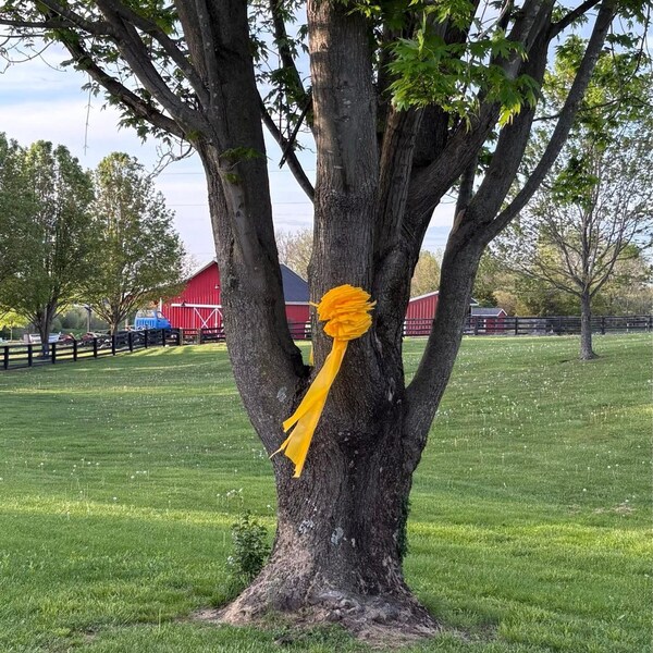 YELLOW RIBBON Deployment BOW Weatherproof for the Troops 6” - Etsy