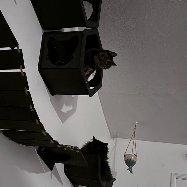 Cat Hexagon Shelves, Wood Wall Furniture for Cats, Wall Mount Shelf ...